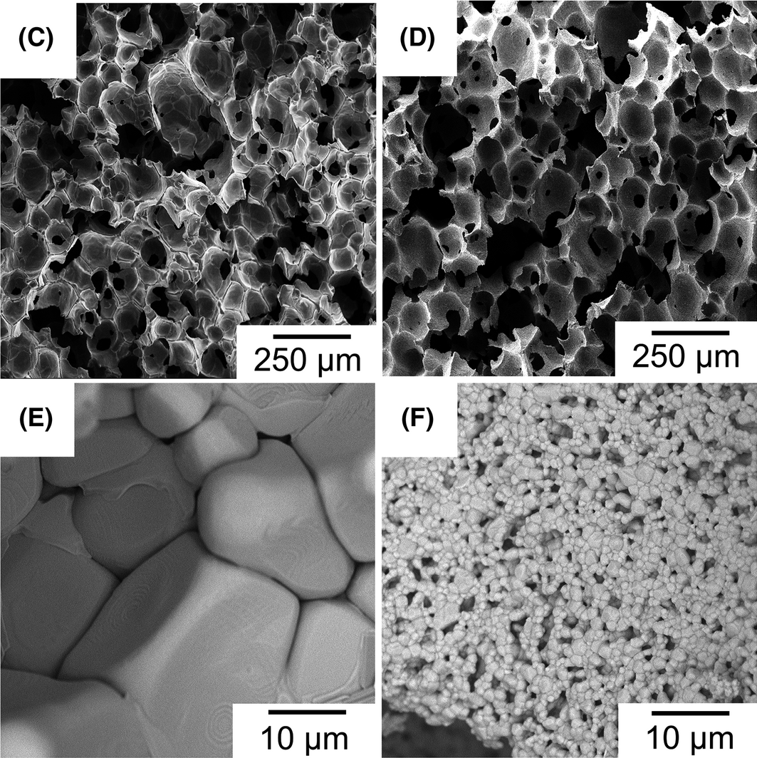 Suppressed Grain Growth in Highly Porous Barium Titanate Foams by Two ...